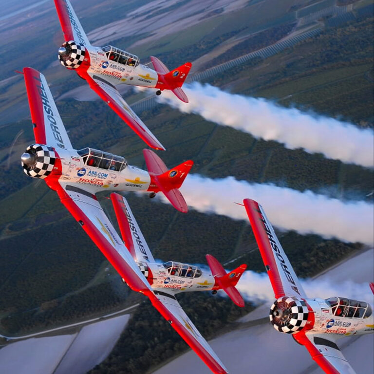 Warbirds of America Profile: Aeroshell Aerobatic Team | EAA Warbirds of ...