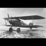 The 1917 German Albatros D-Va | EAA Warbirds of America