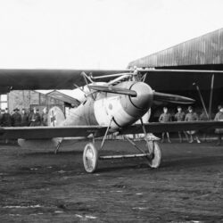 The 1917 German Albatros D-Va | EAA Warbirds of America