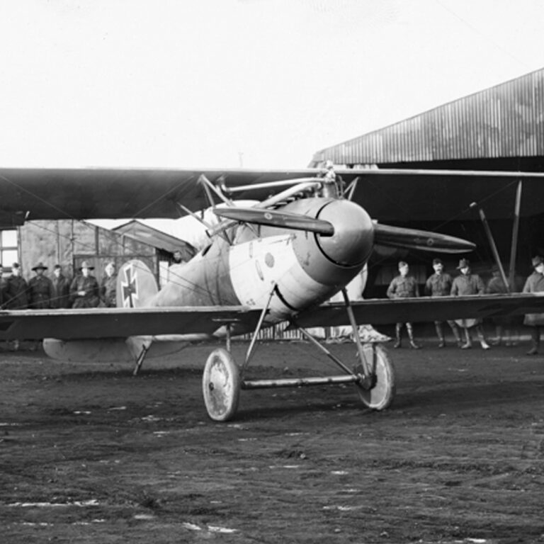 The 1917 German Albatros D-Va | EAA Warbirds of America