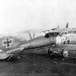 The 1917 German Albatros D-Va | EAA Warbirds of America