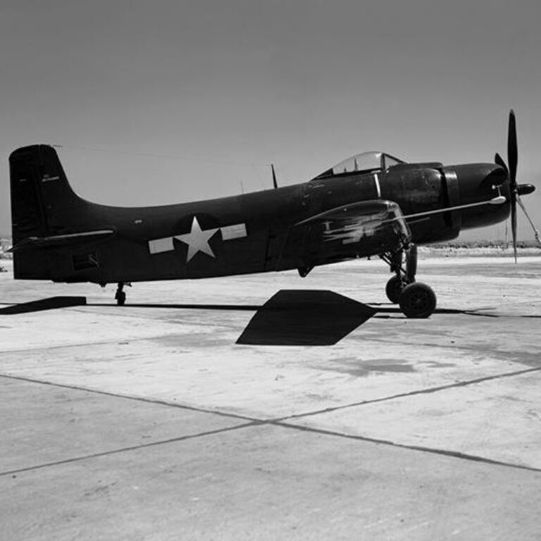 The Douglas A-1 Skyraider First Flight 18 March 1945 | EAA Warbirds of ...